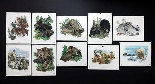 10 Richard Timm Signed Prints, 28x22 Wade Collection Lithograph Plates ...