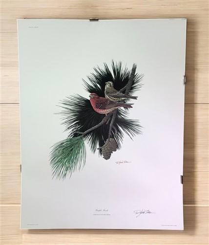 Richard Sloan, Purple Finch, Signed Print, 28x22, Wade Collection, Pla ...