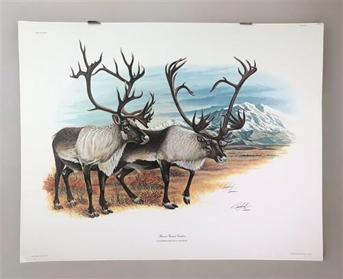 Richard Timm, Ground Caribou, Signed Print, 28x22 Wade Collection, Pla ...